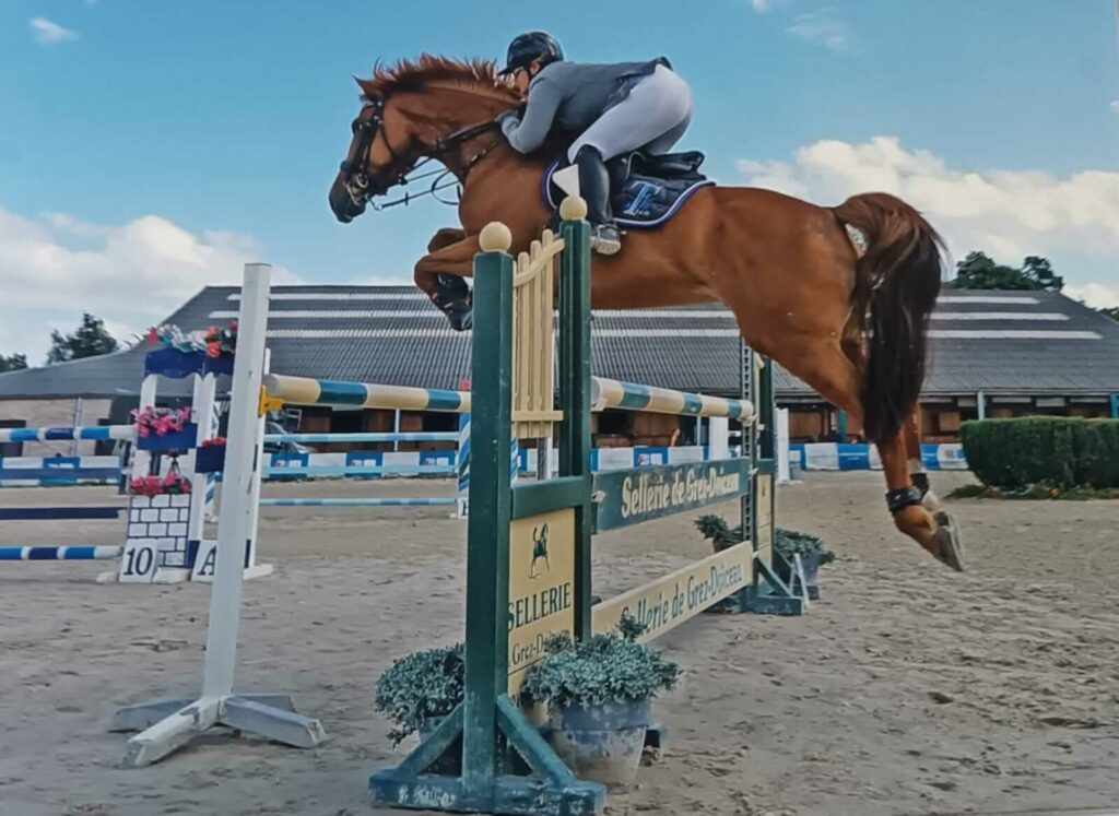 Home - Wins Equestrian Group