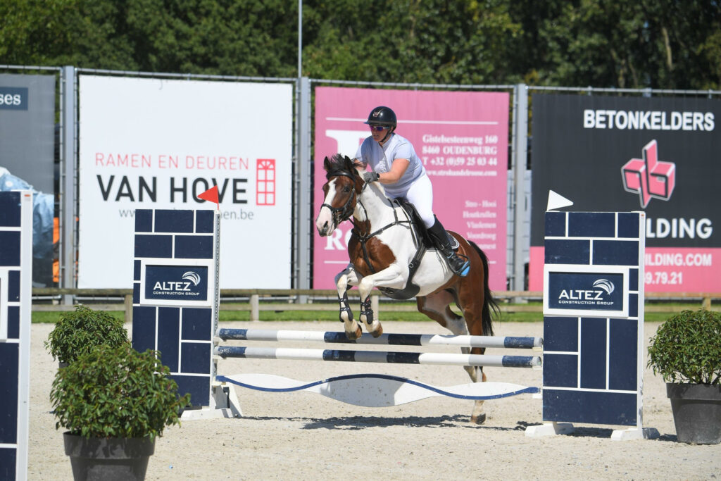 Jaguar d’Elphen - Wins Equestrian Group