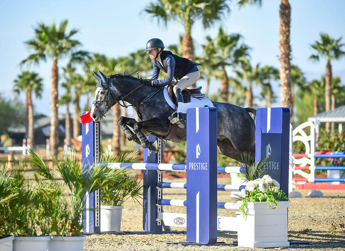 Mermoz-D.B - Wins Equestrian Group